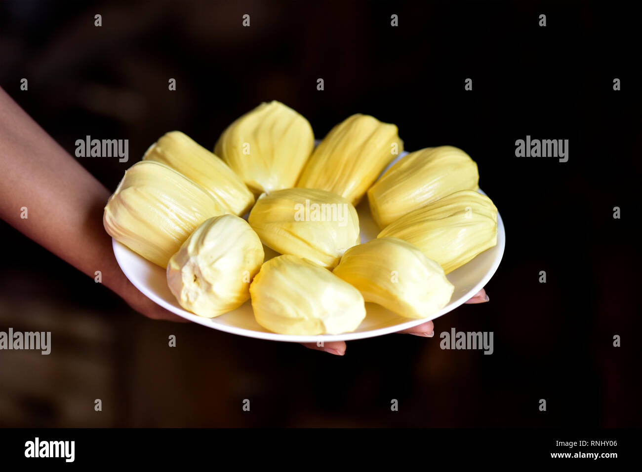 Freeze dried and sold as jackfruit chips the seeds from hi-res stock ...