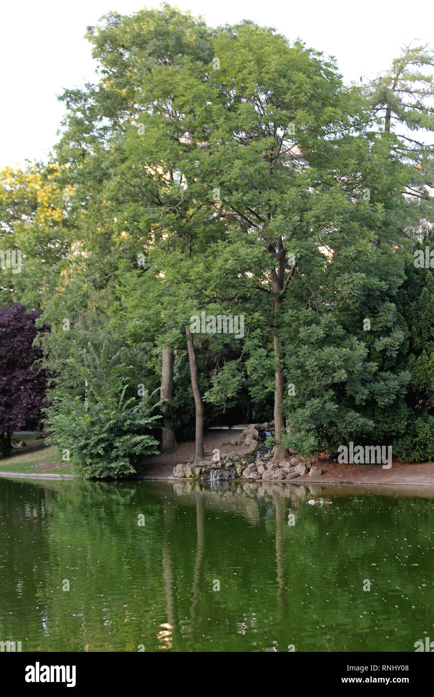 Pond at City Park in Vienna Austria Stock Photo - Alamy