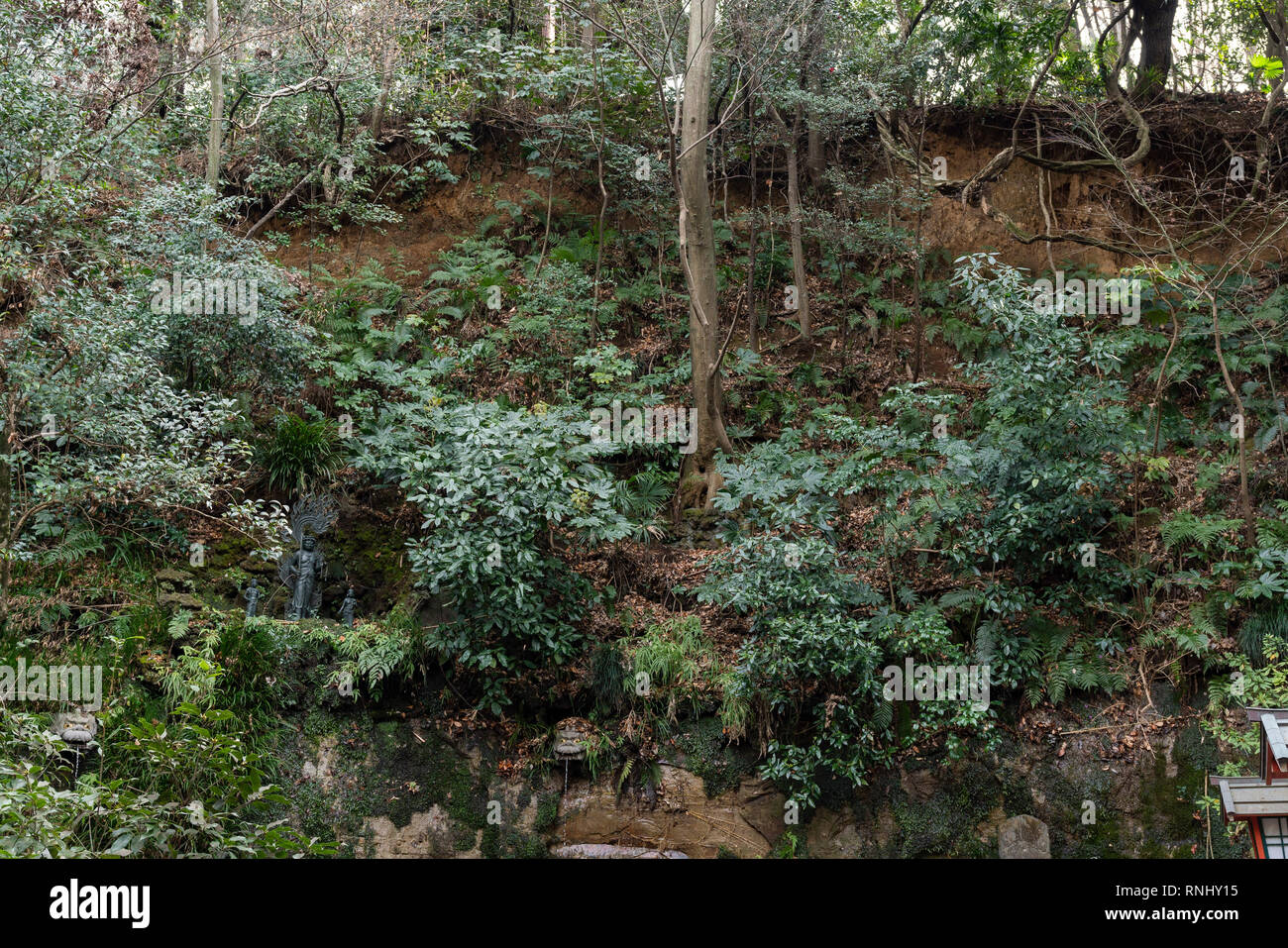 Fudo waterfall, Todoroki valley, Setagaya-Ku, Tokyo, Japan Stock Photo ...
