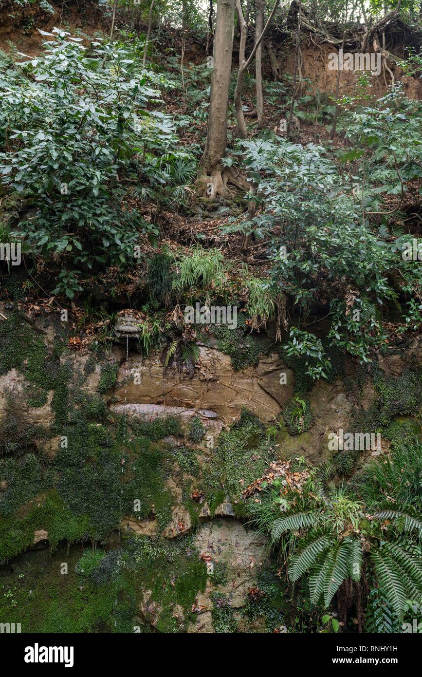 Fudo waterfall, Todoroki valley, Setagaya-Ku, Tokyo, Japan Stock Photo ...
