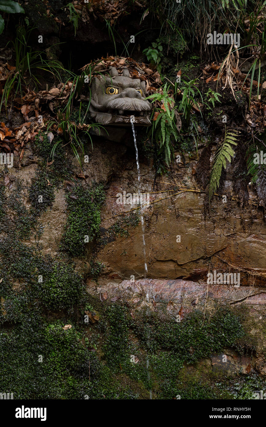 Fudo waterfall, Todoroki valley, Setagaya-Ku, Tokyo, Japan Stock Photo ...
