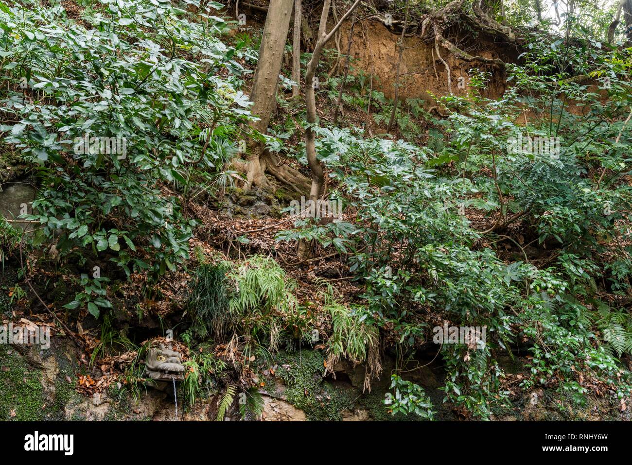 Fudo waterfall, Todoroki valley, Setagaya-Ku, Tokyo, Japan. Here can ...