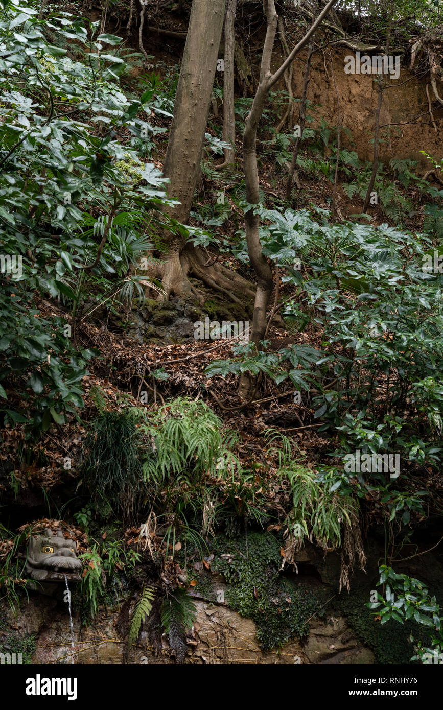 Fudo waterfall, Todoroki valley, Setagaya-Ku, Tokyo, Japan. Here can ...