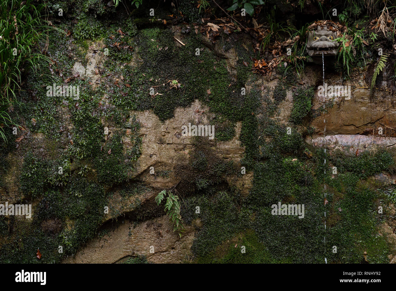 Fudo waterfall, Todoroki Valley, Setagaya-Ku, Tokyo, Japan Stock Photo ...