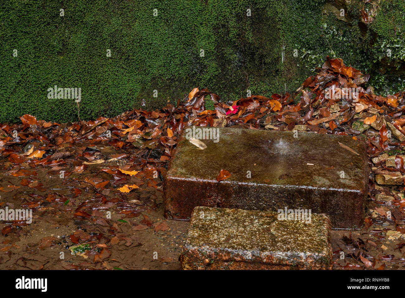 Fudo waterfall, Todoroki Valley, Setagaya-Ku, Tokyo, Japan Stock Photo ...