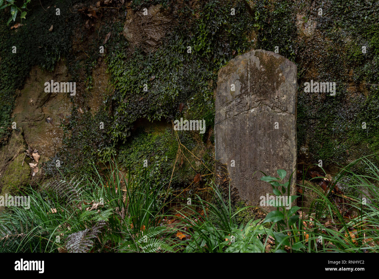 Fudo waterfall, Todoroki Valley, Setagaya-Ku, Tokyo, Japan Stock Photo ...