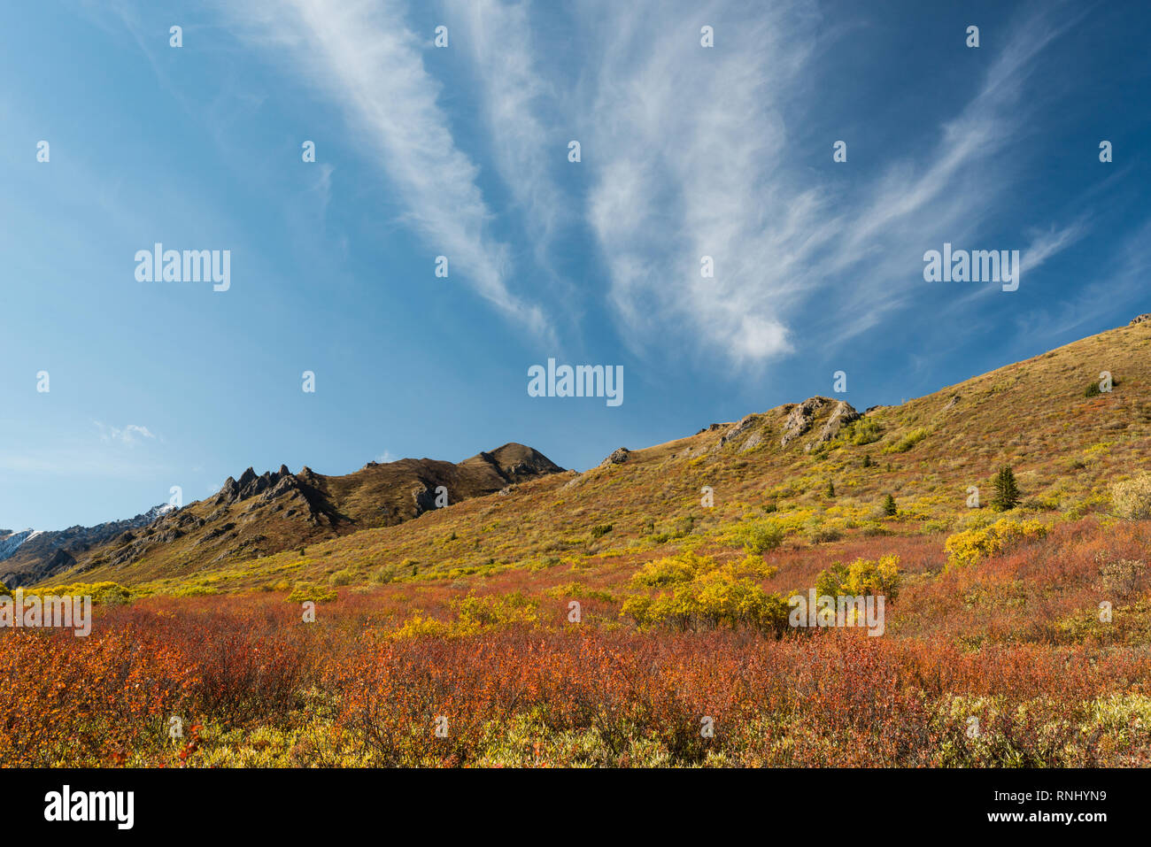 Hiking in the mountains on Dempster Highway in fall (autumn), Yukon ...