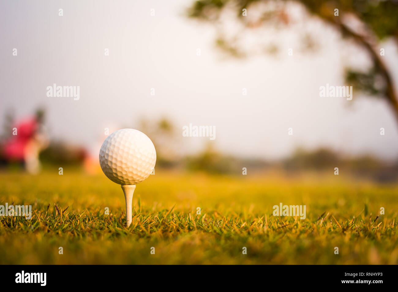 Empty golf courses hi-res stock photography and images - Alamy