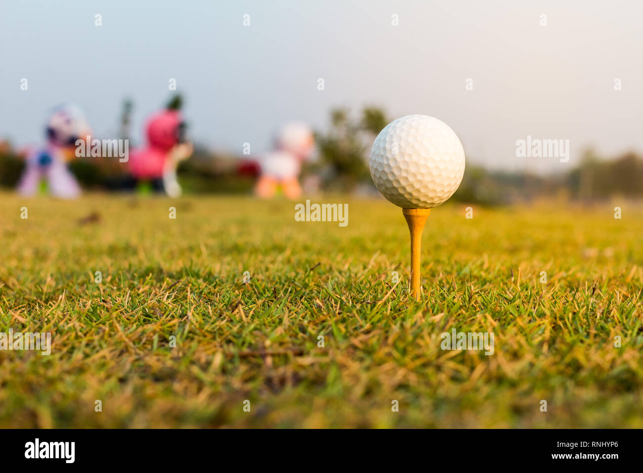 Golf ball on tee Stock Photo - Alamy