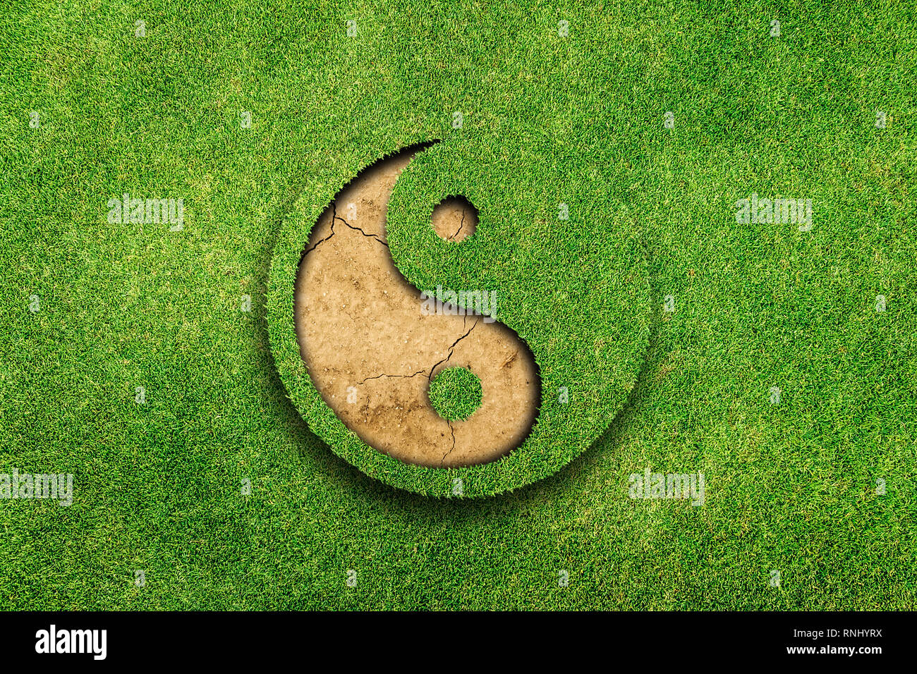 Yin Yang on green grass background Stock Photo - Alamy