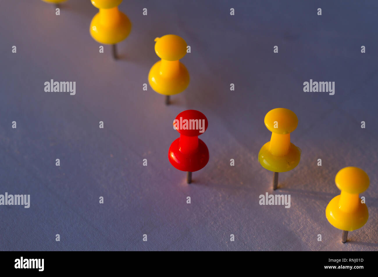Different red pushpins, highlighted Stock Photo - Alamy