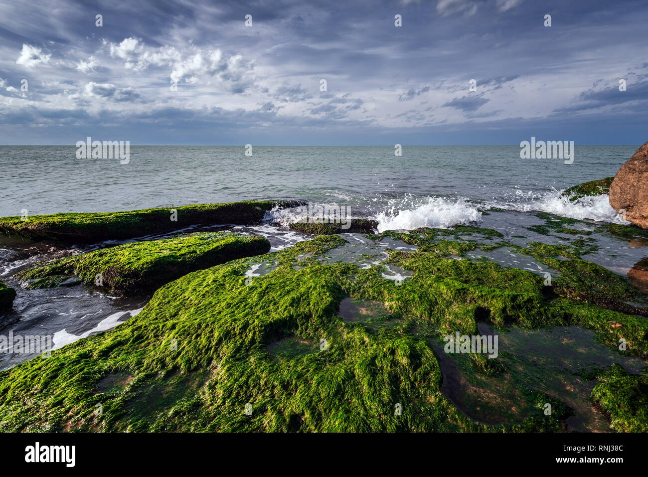 Beautiful scene green algae hi-res stock photography and images - Alamy