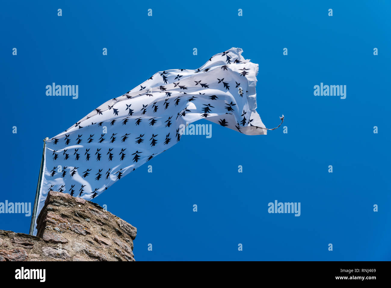 Low angle view of flag of Duchy of Brittany waving against blue sky ...