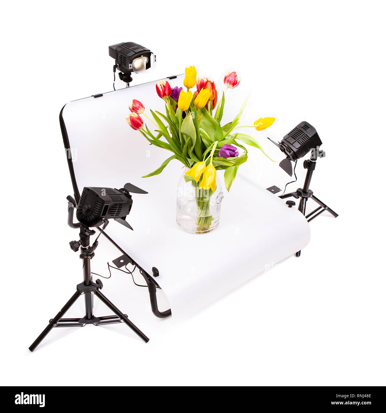 Photo Still life Shooting Table with lights and Tulips on a white ...