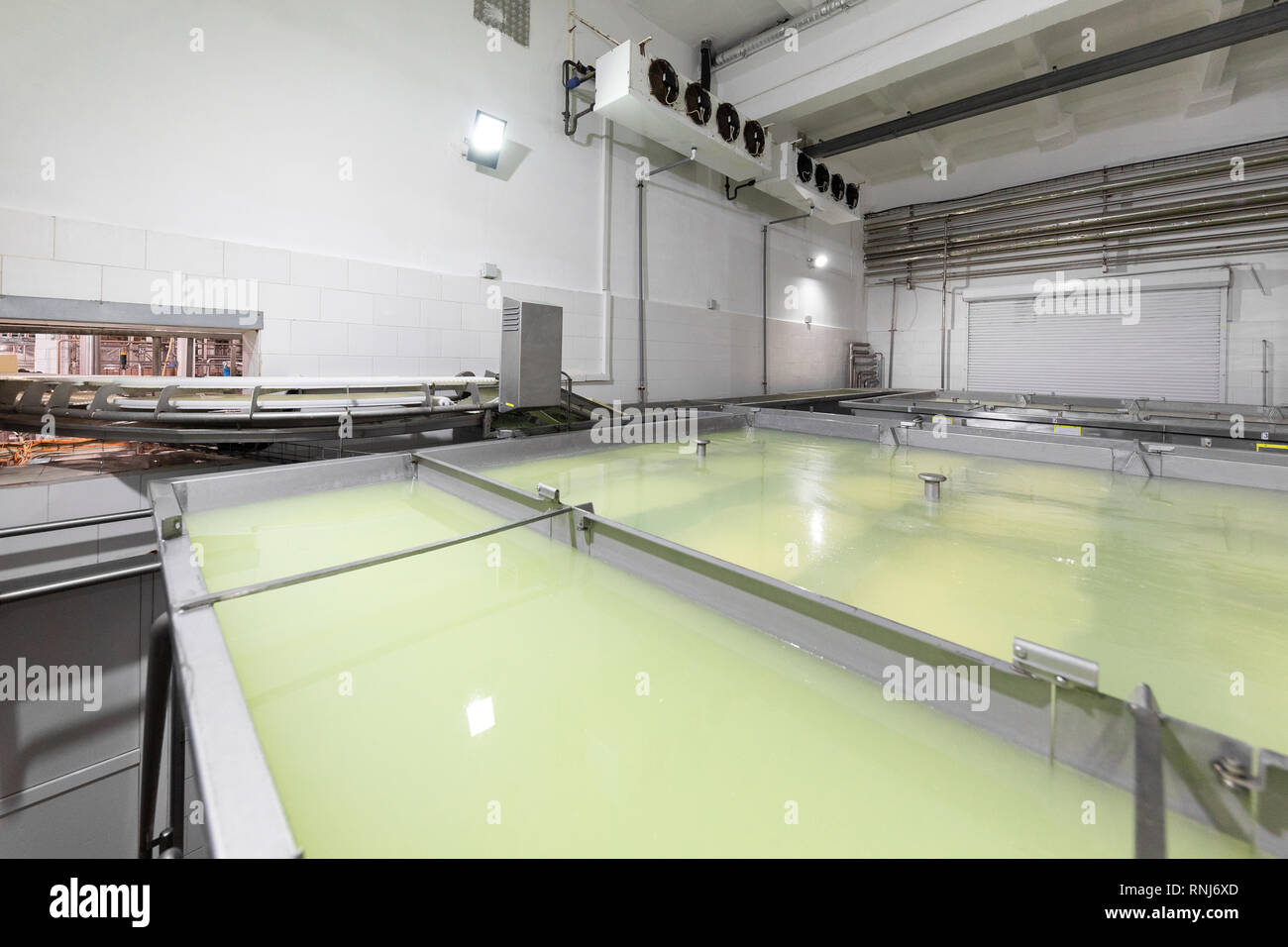 Containers with yellow-green liquid. Dairy plant Stock Photo - Alamy