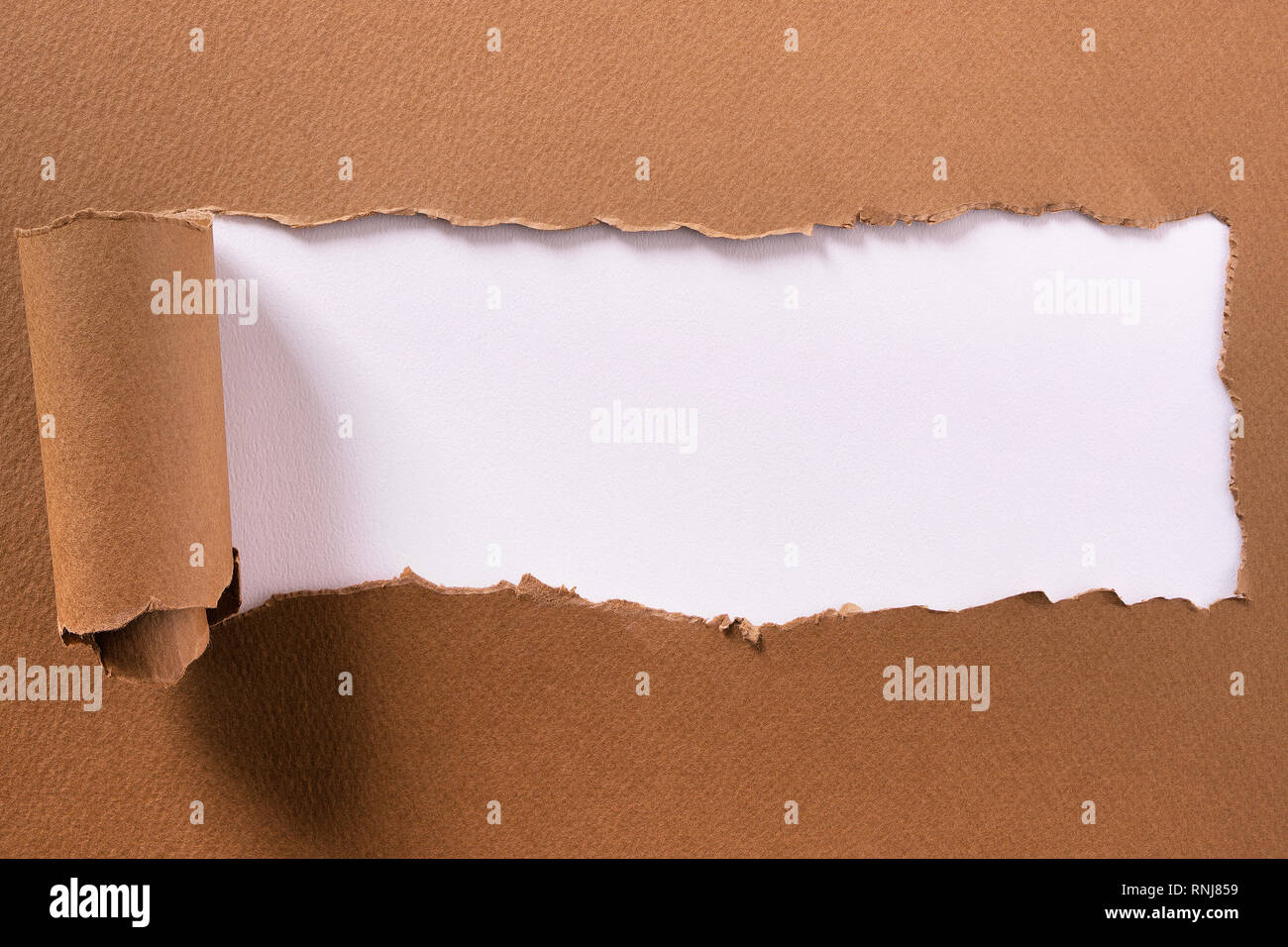 Torn brown paper center strip white background curled edge Stock Photo ...