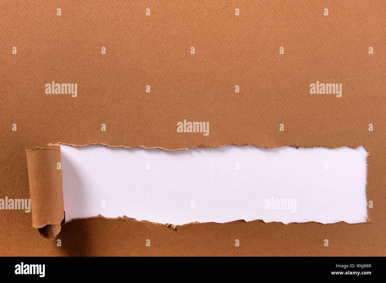 Torn brown paper long rolled bottom edge header frame white background ...