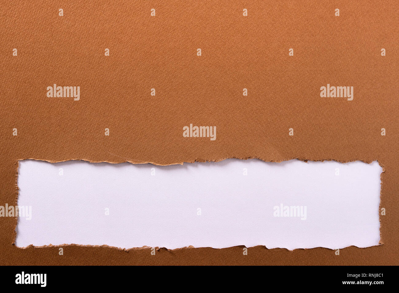 Torn brown paper strip bottom edge header background frame Stock Photo ...