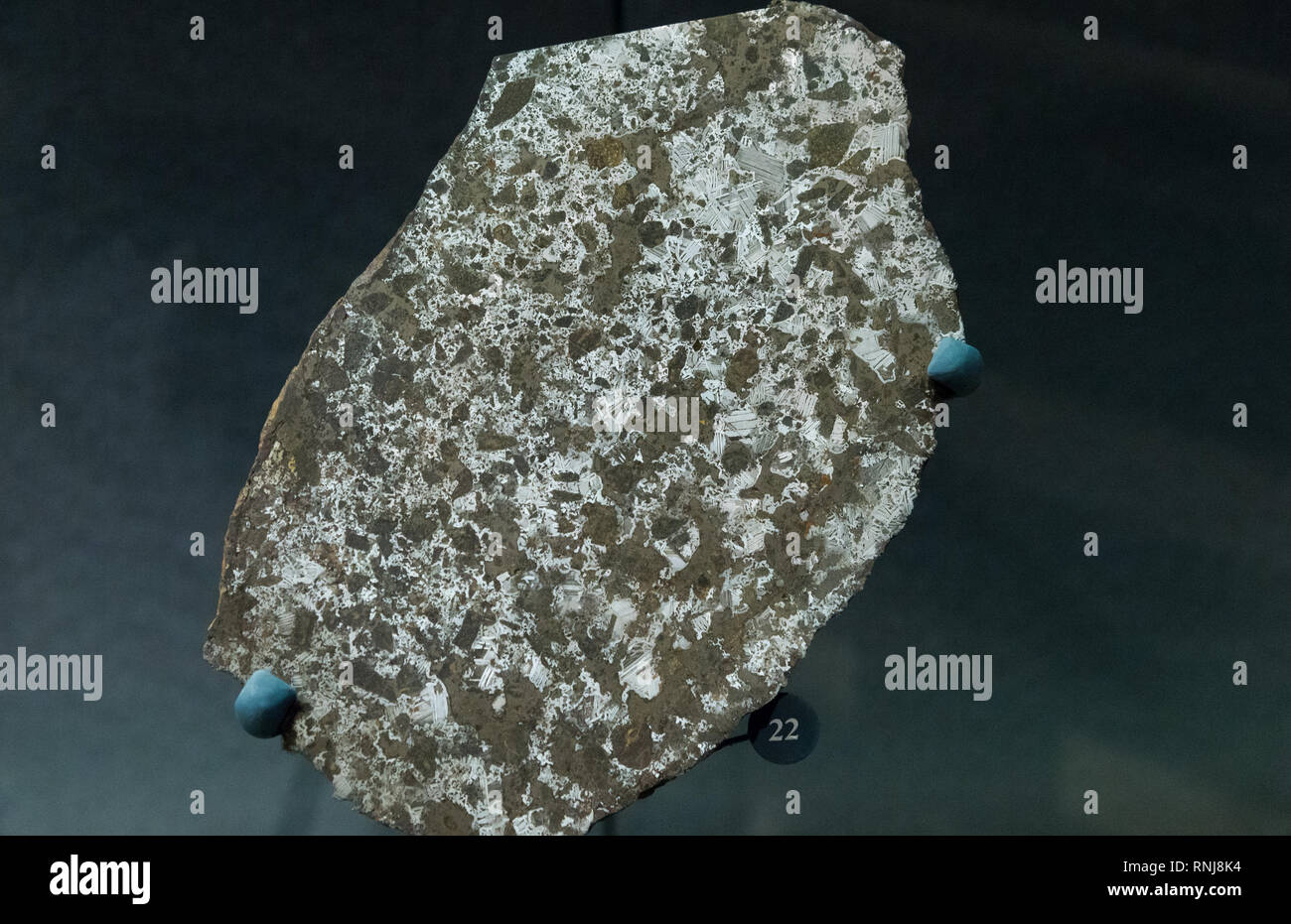 Cross section of a Stony-iron meteorite. The Field Museum, Chicago ...