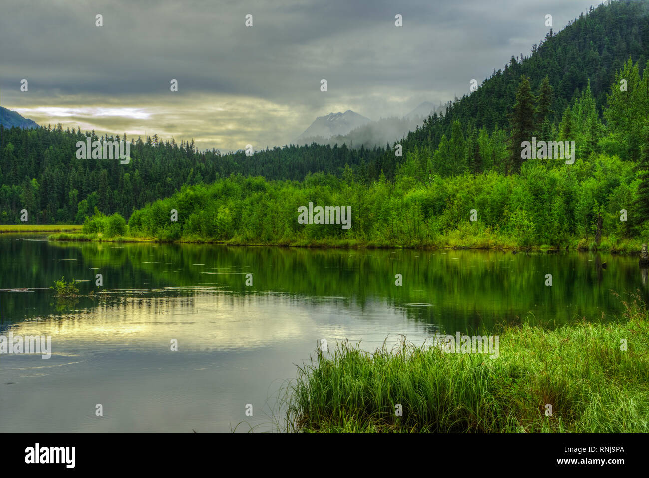 Kenai pennisula hi-res stock photography and images - Alamy