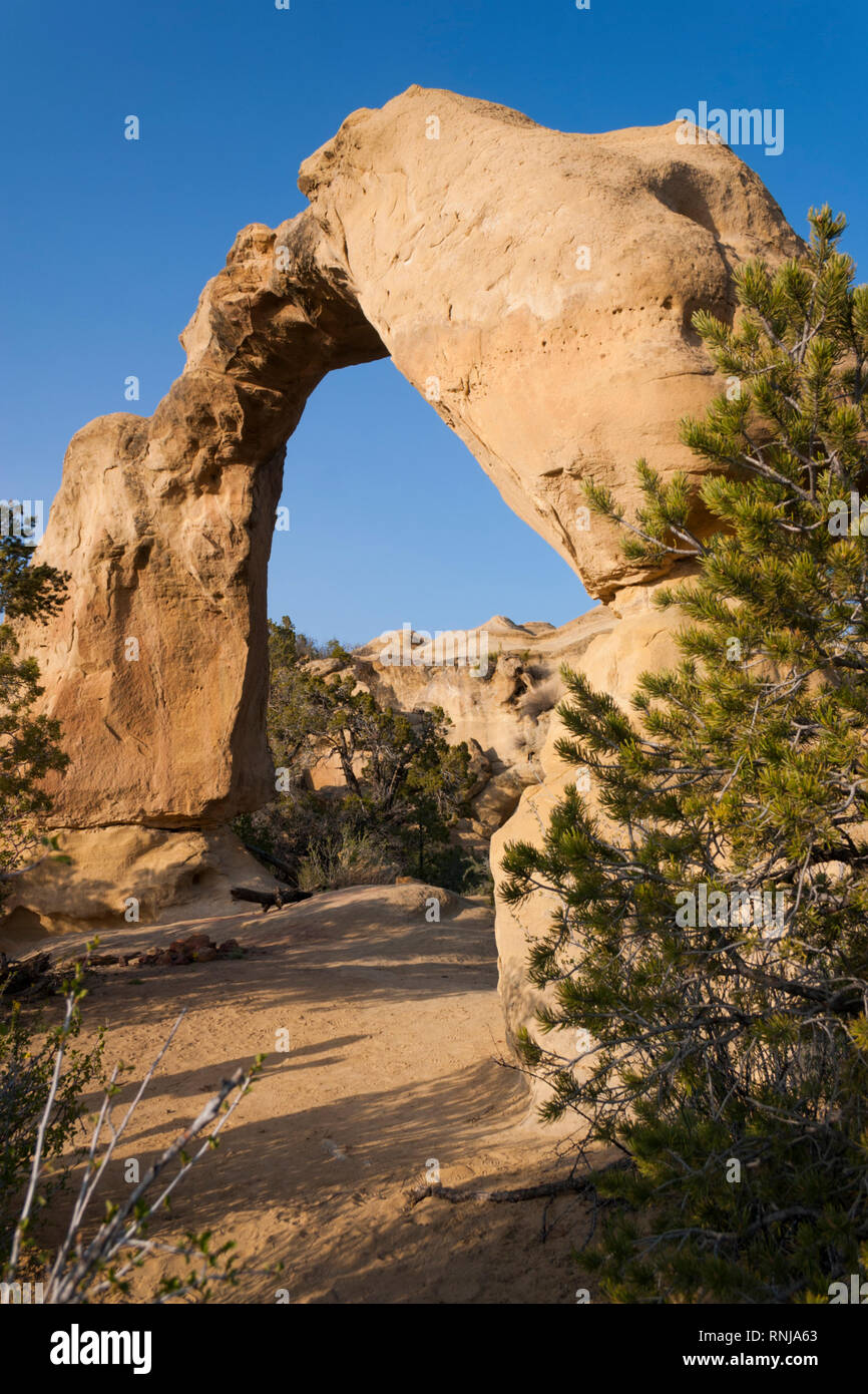 Portrait view of Anasazi Arch Stock Photo - Alamy