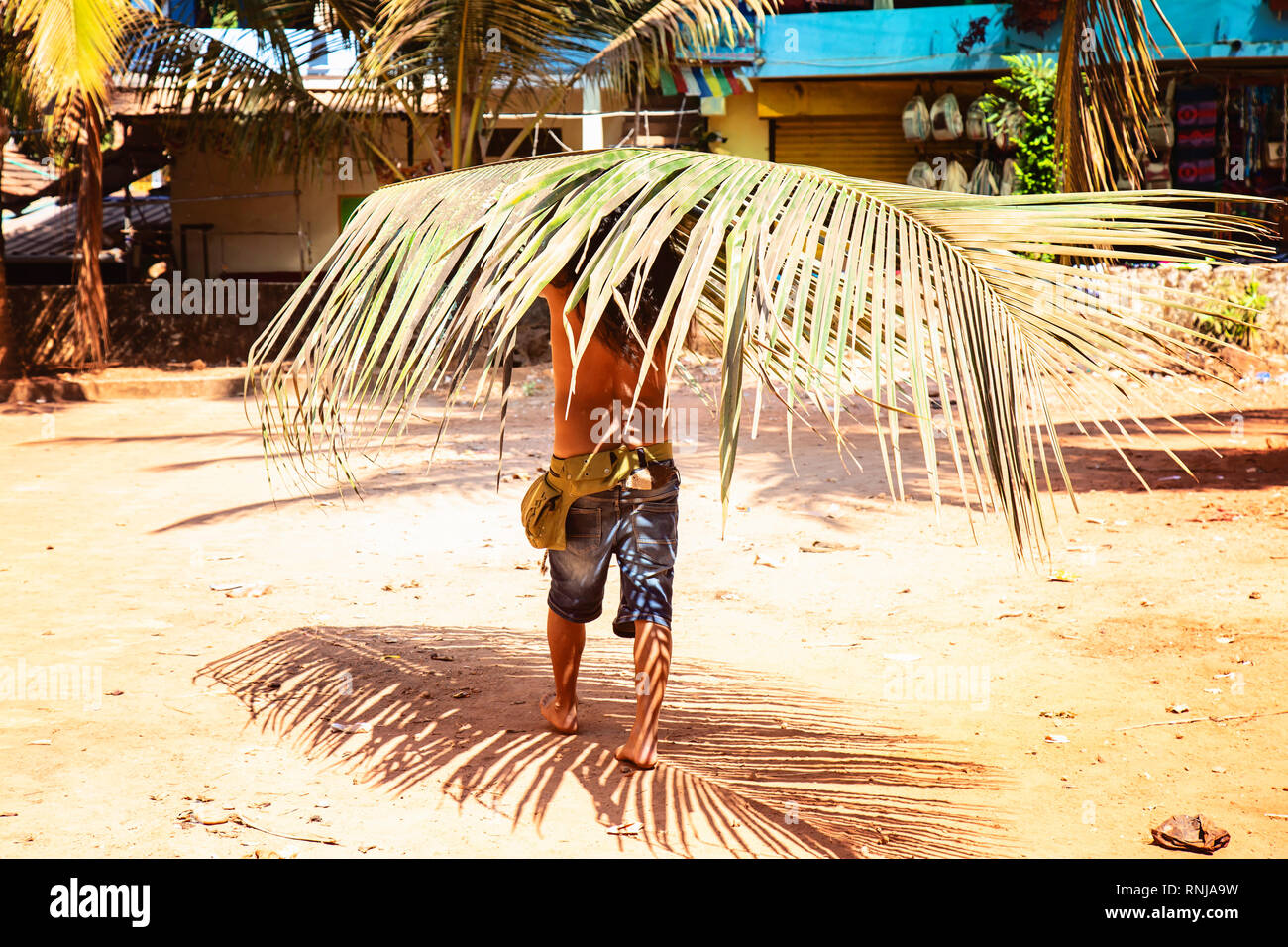 Man carrying a palm leaf above his head Stock Photo - Alamy