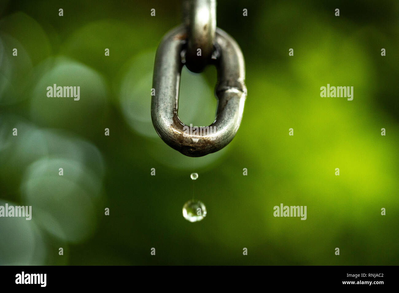 Chain link with water droplet Stock Photo - Alamy