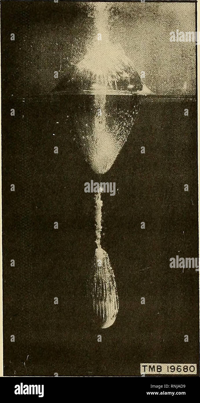. Analysis of test data on the performance characteristics of planning ...