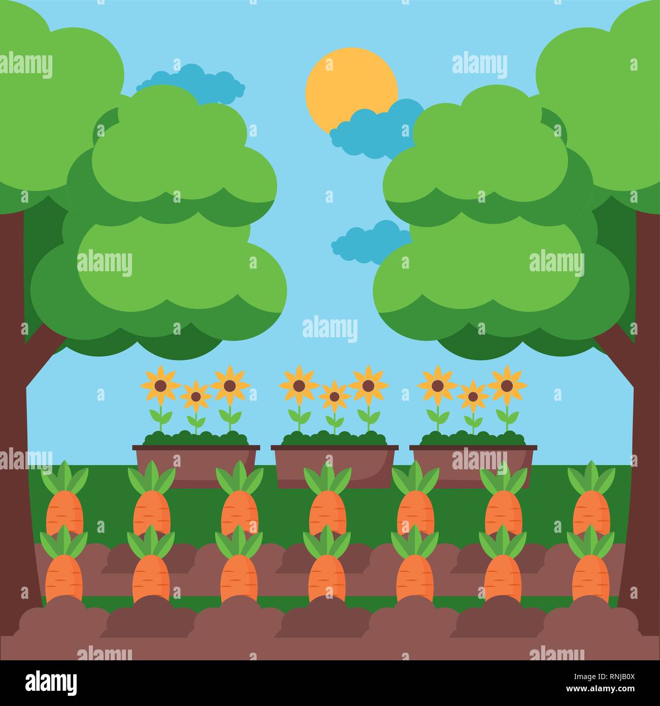 Cartoon Garden Carrots Vector Illustration High Resolution Stock ...