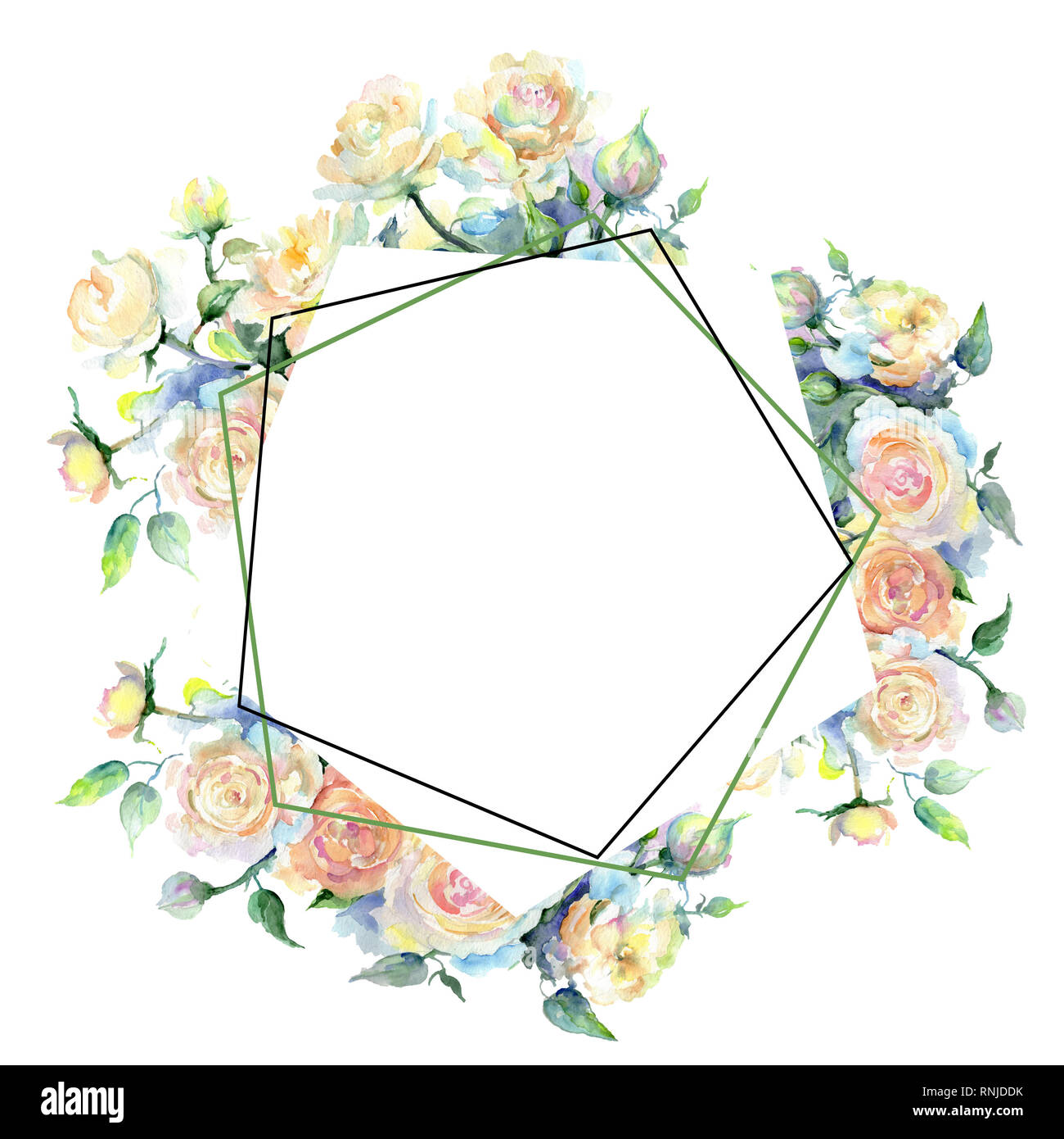 Beige rose bouquet botanical flower. Watercolor background illustration ...