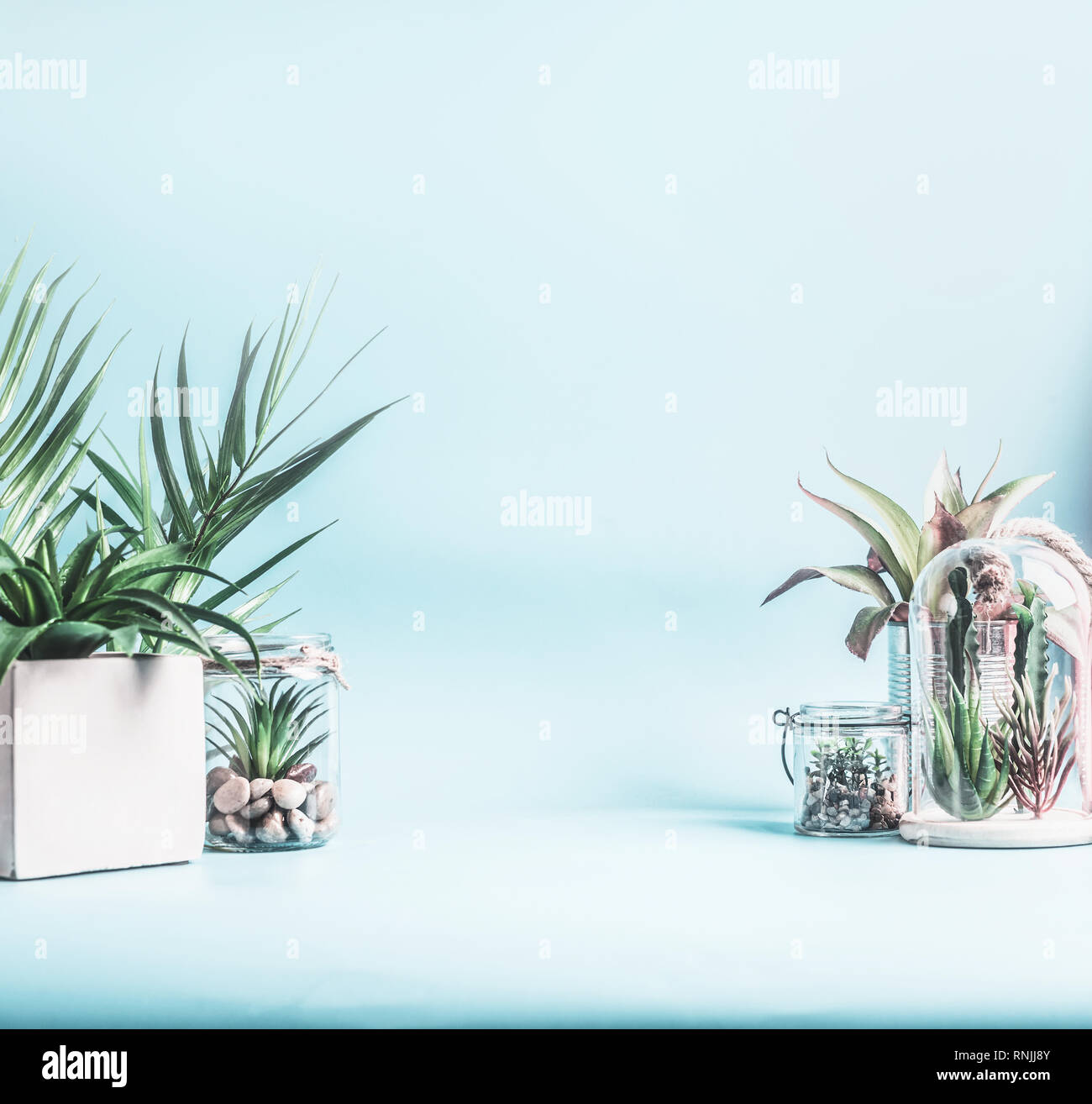 Trending home plant decor. Green house plants in pots, glass terrarium ...