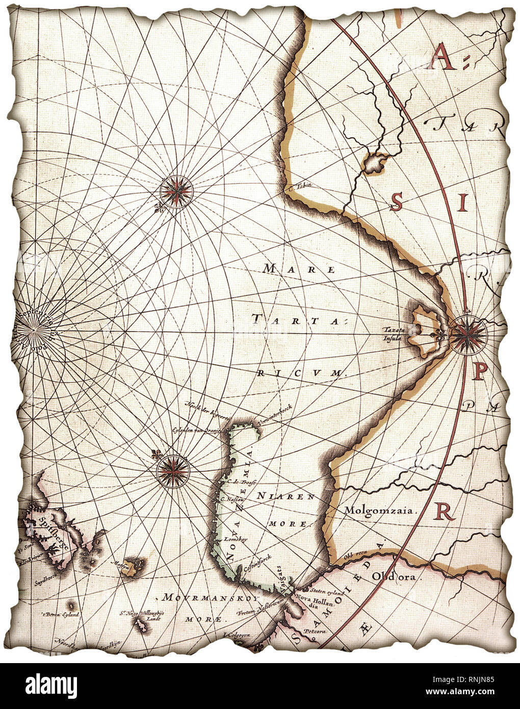 Yellowed and stained piece of old map on a white background, isolated ...