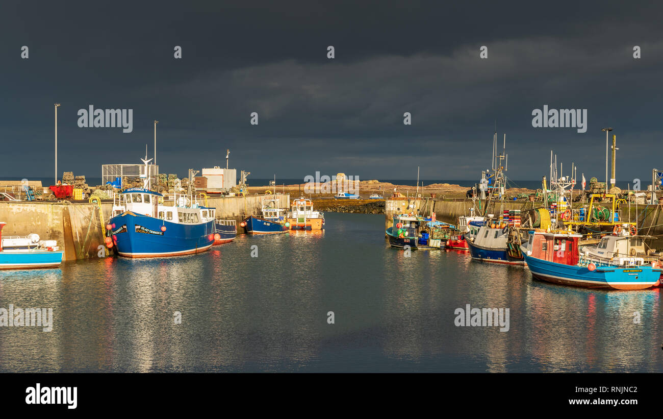 Seahouses, Northumberland, England, UK - September 08, 2018: Fishing ...