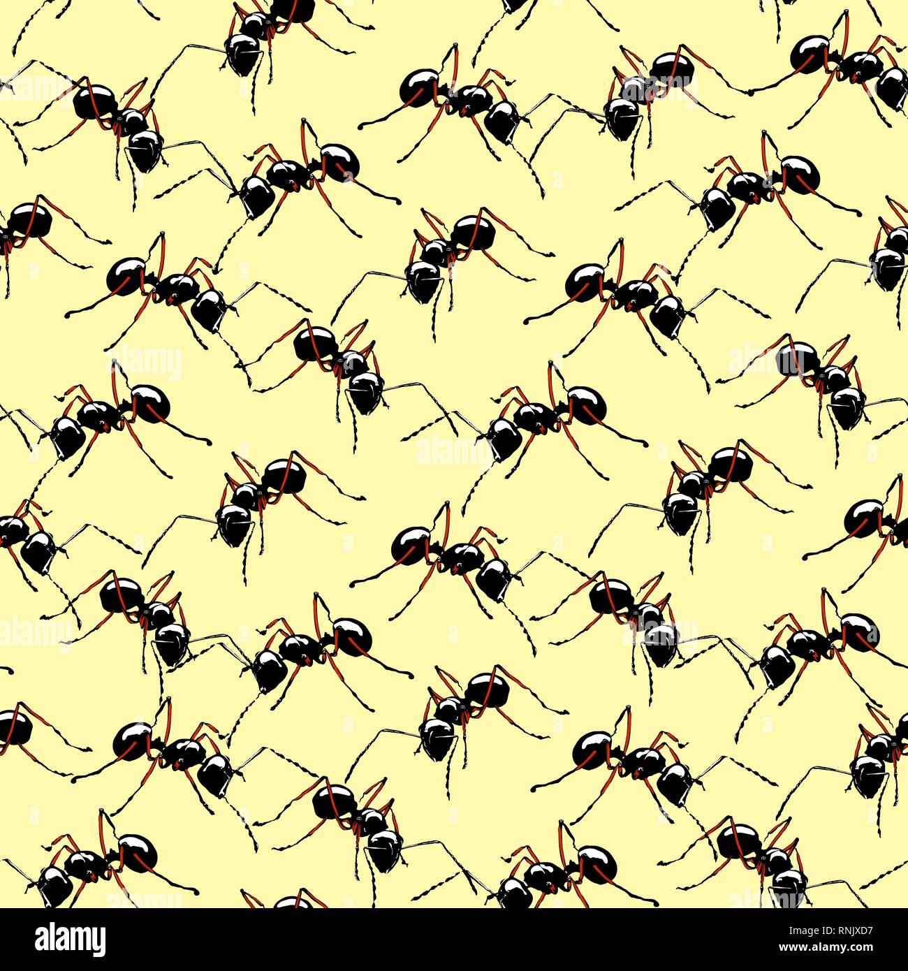 Macro realistic ants seamless background Stock Vector Image & Art - Alamy