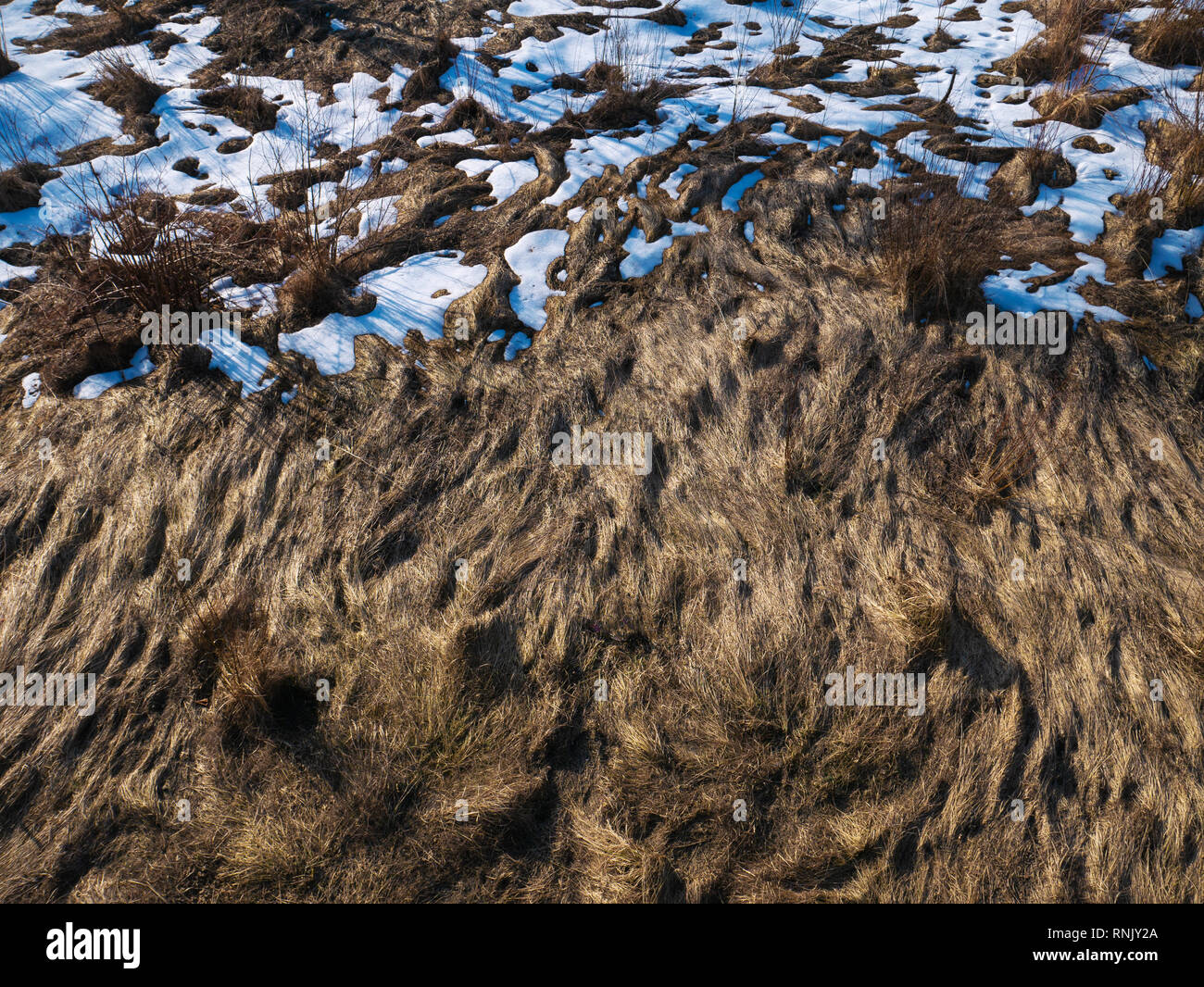 texture of dry grass from top view. Like Wool Stock Photo - Alamy