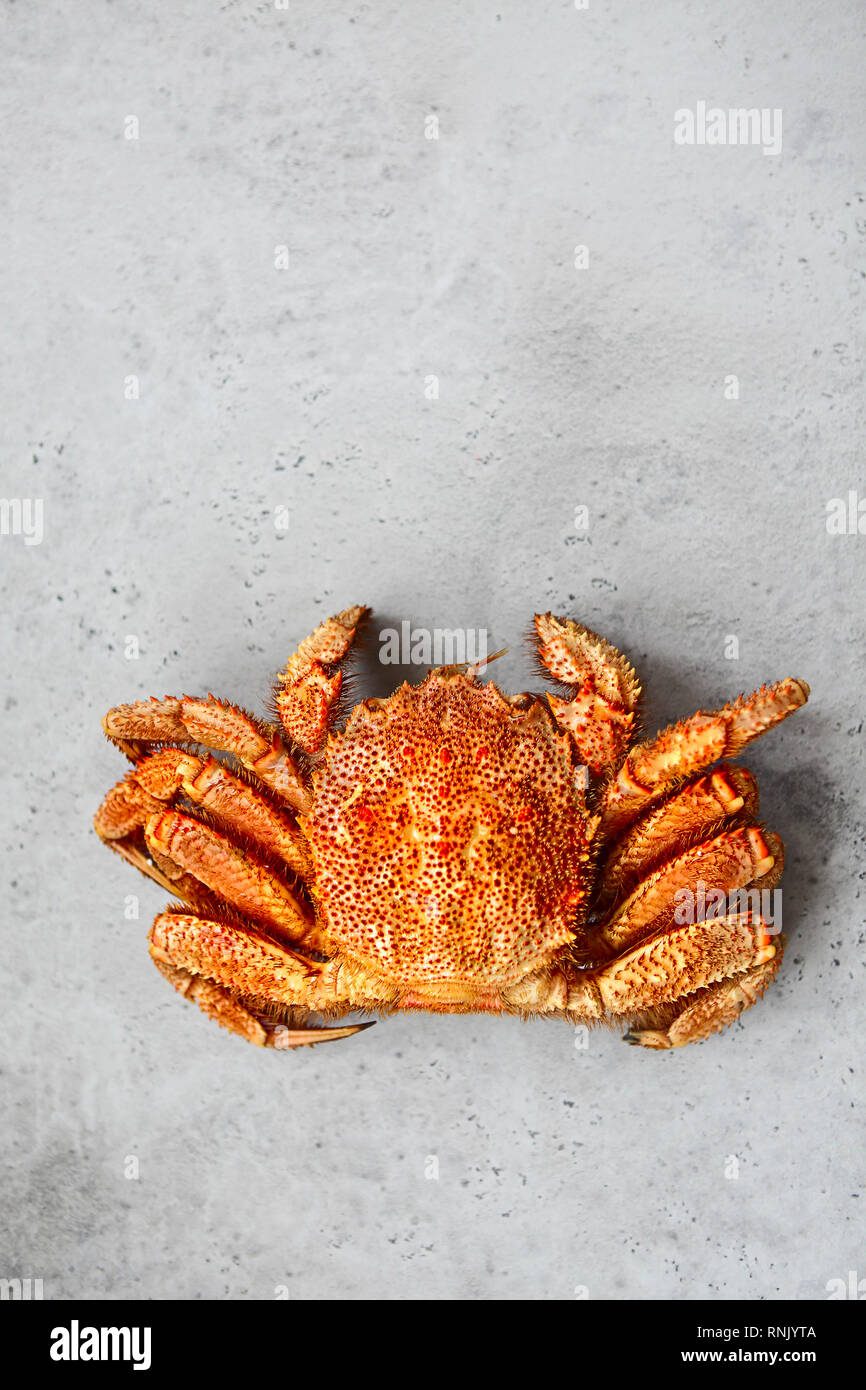 One freshly cooked crab on the gray kitchen table. Top view Stock Photo ...
