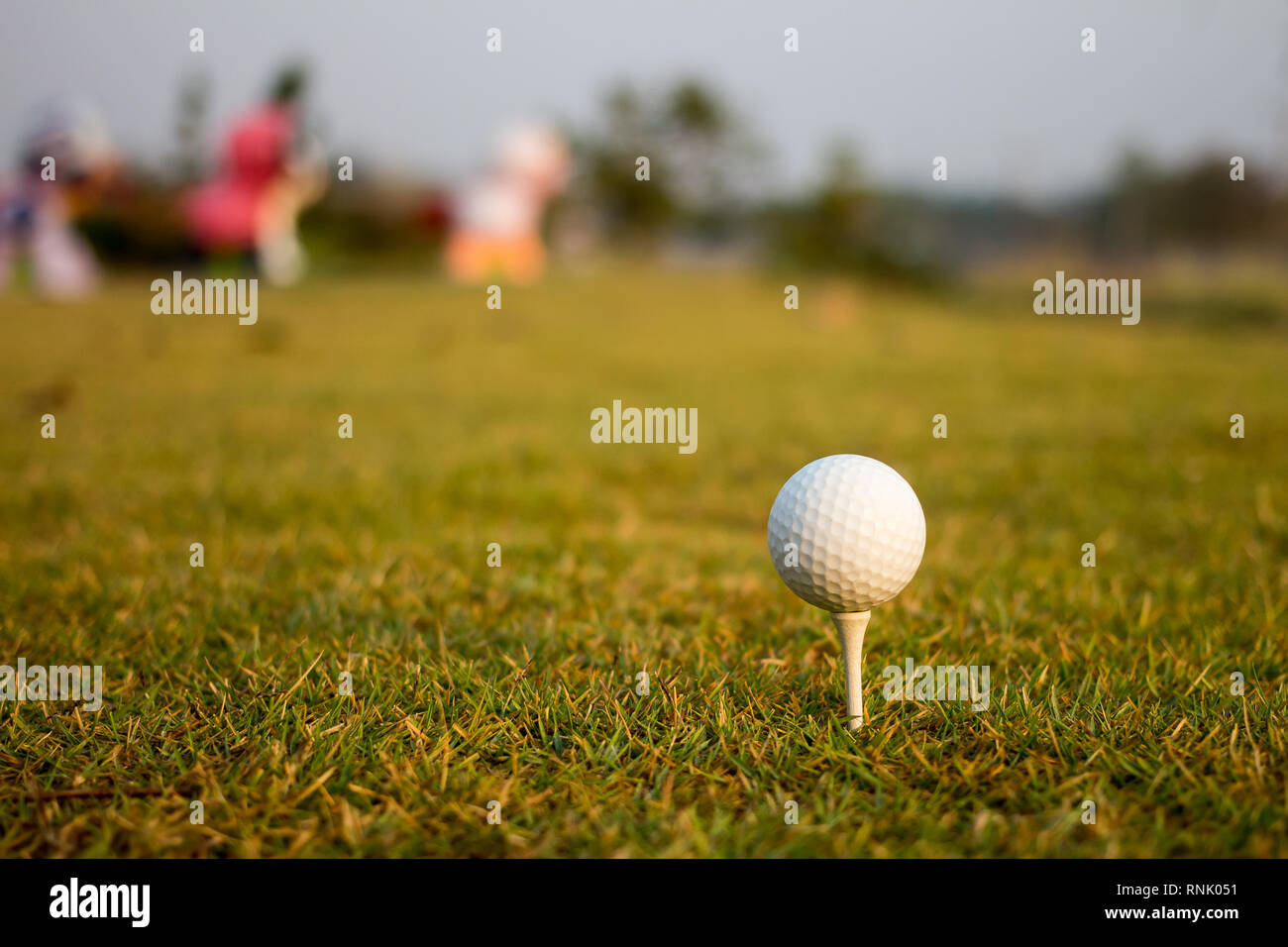 Golf ball on tee Stock Photo - Alamy