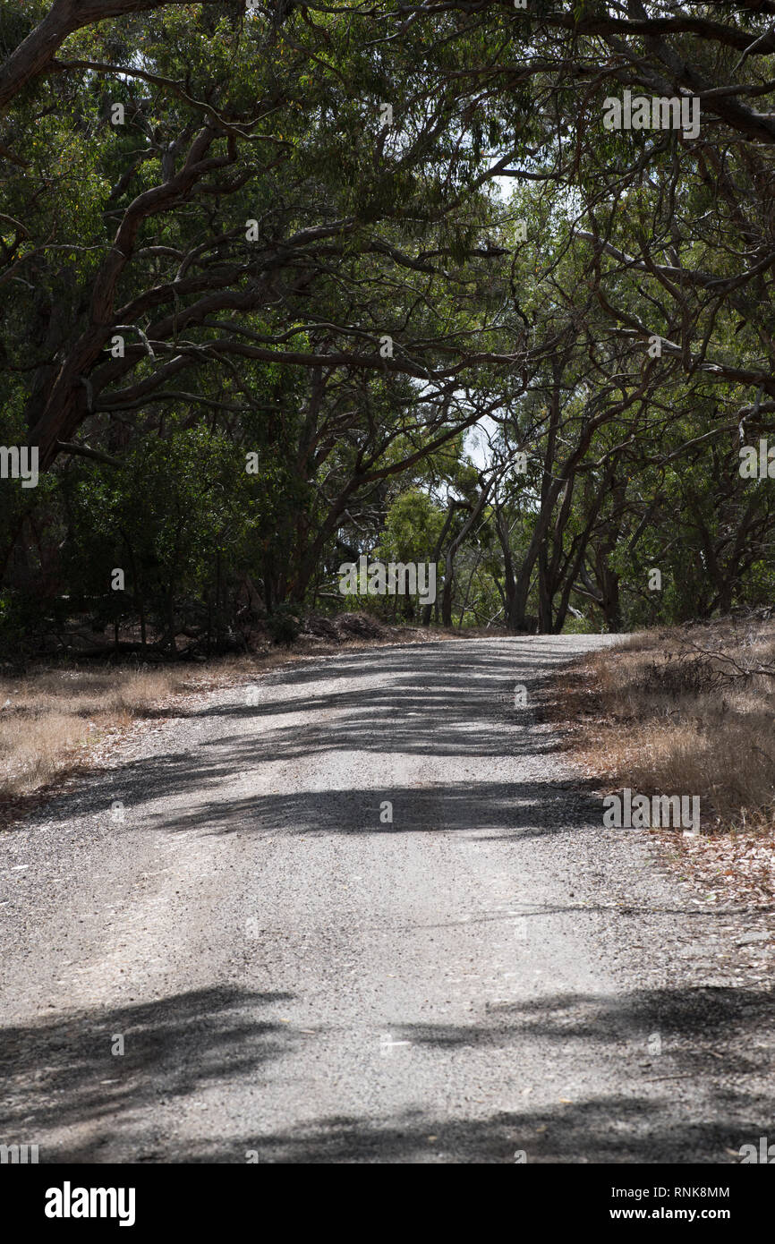 Country Lane in Summer background Stock Photo - Alamy