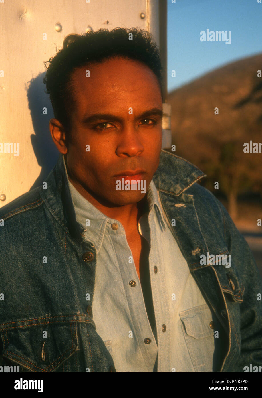 LOS ANGELES, CA - JANUARY 9: (EXCLUSIVE) Model/dancer/actor Andre ...