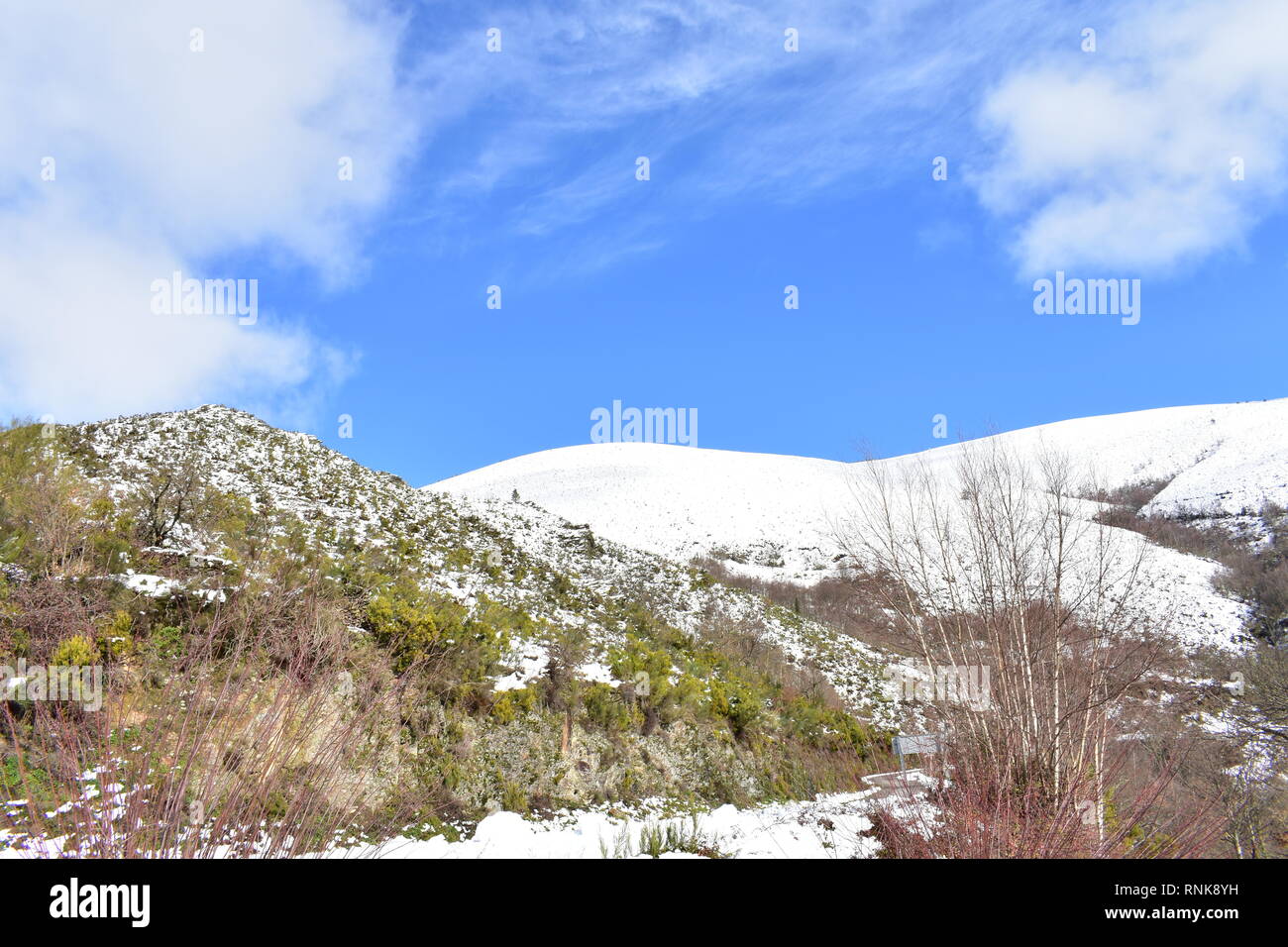 Winter landscape with snowy mountains, vegetation and road. Lugo ...