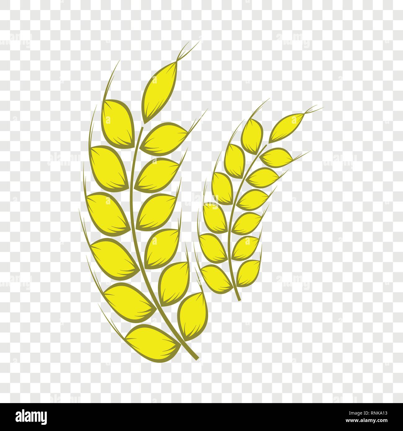 Two corn stalks Stock Vector Images - Alamy