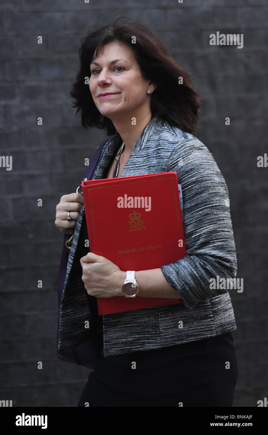 Minister for Energy and Clean Growth Claire Perry arrives in Downing ...