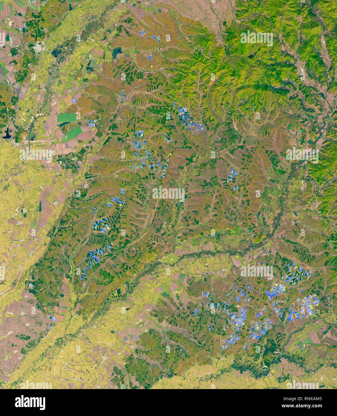 Aerial view of Ginseng crops in Heilongjiang province in northeastern ...