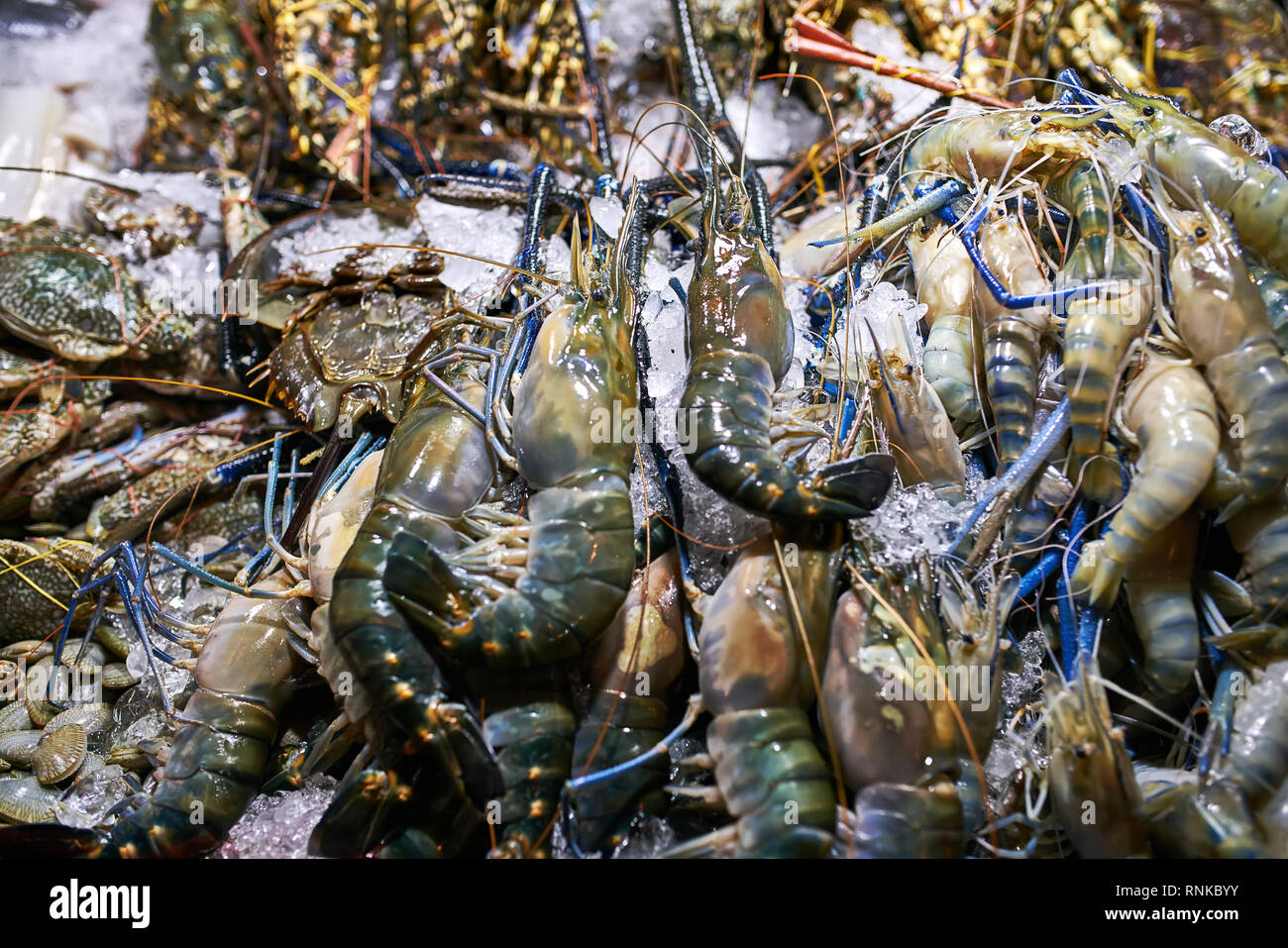 Bunch of fresh green shrimps lying on ice on the street market in ...