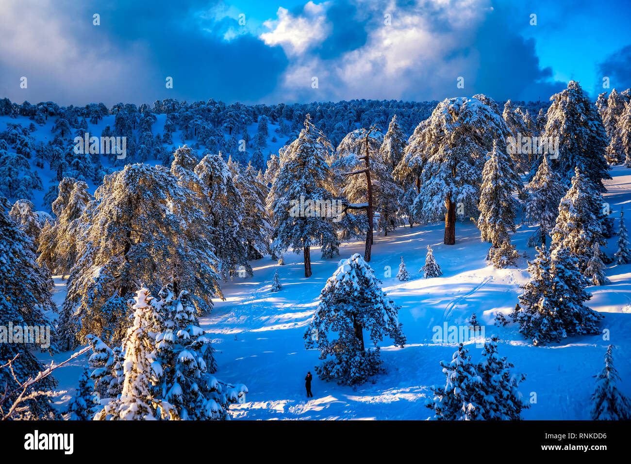 Snow in the troodos mountains hi-res stock photography and images - Alamy