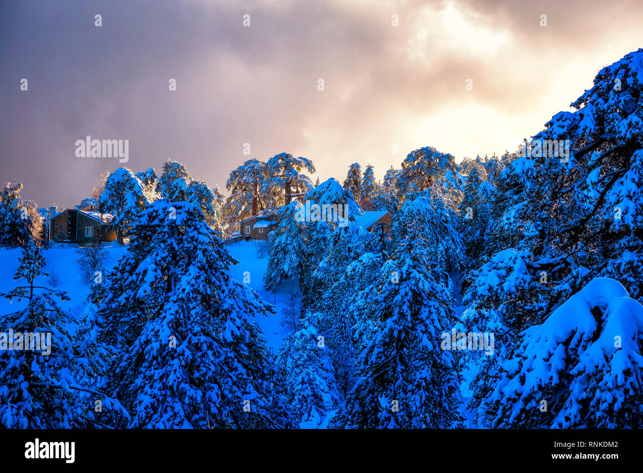 Winter landscape with a mountain house in the snow. Troodos, Cyprus ...