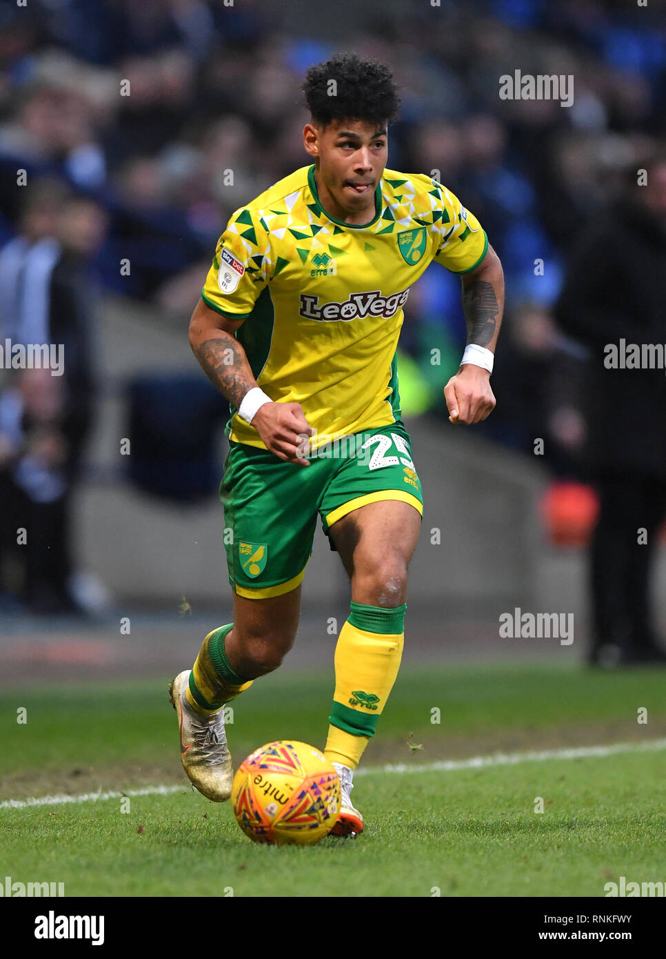 Onel Hernandez, Norwich City Stock Photo - Alamy