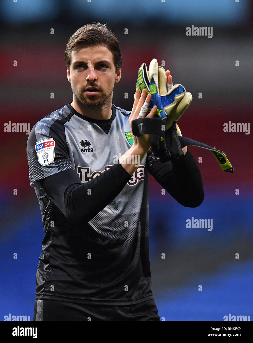 Norwich City goalkeeper Tim Krul Stock Photo - Alamy