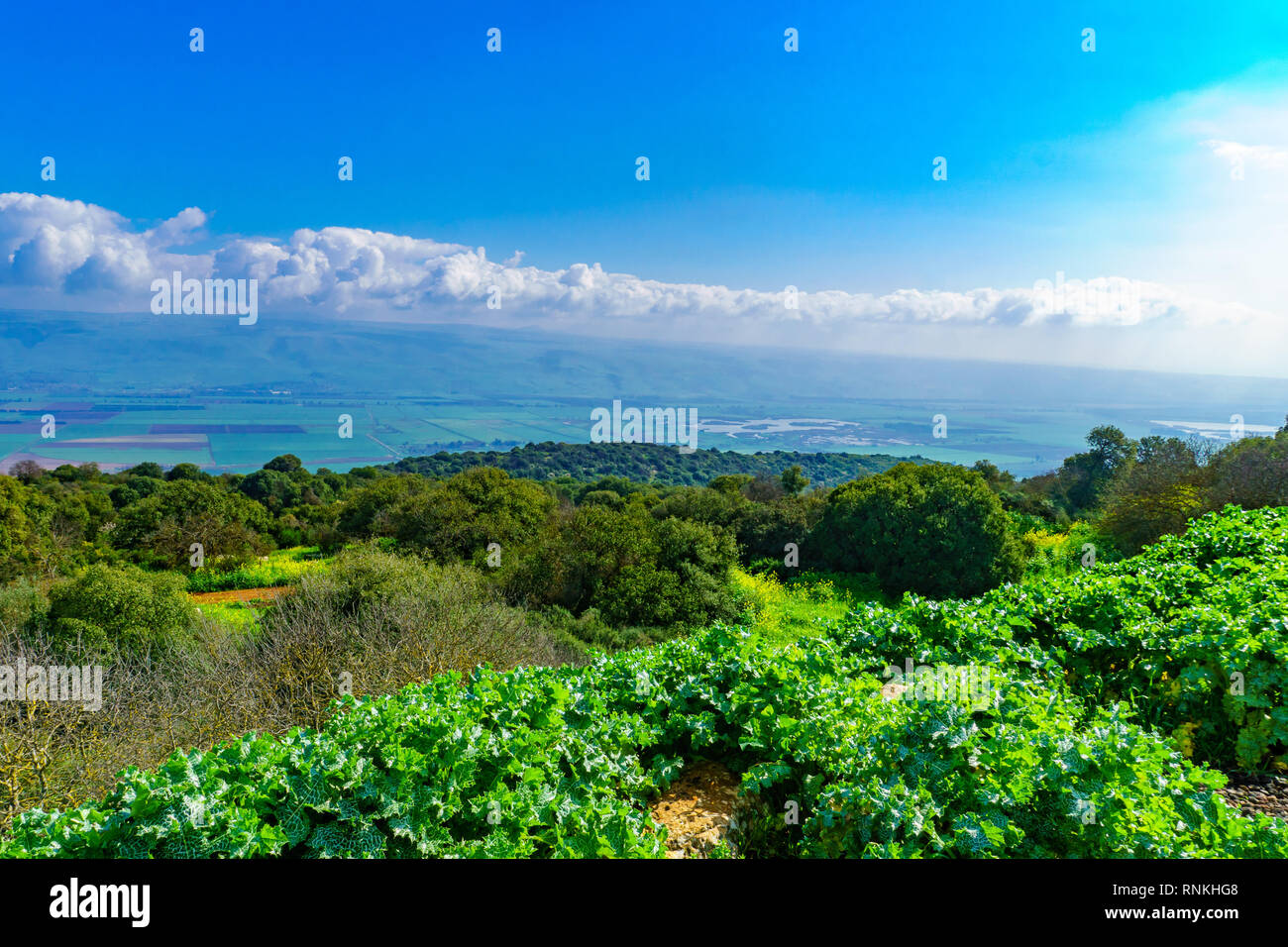 View of landscape and countryside in the Hula Valley from the Galilee ...
