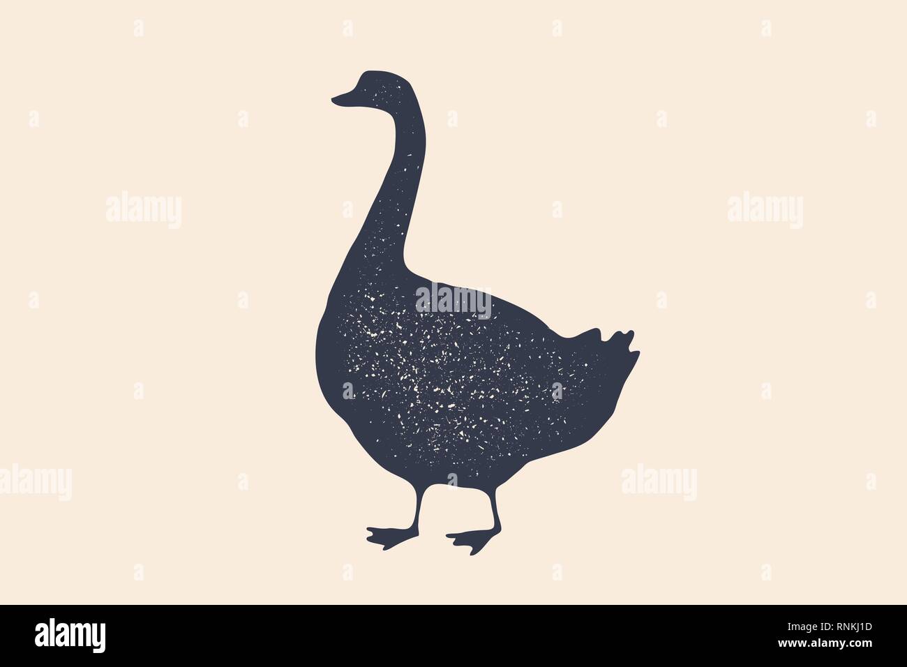 Goose, bird. Concept design of farm animals Stock Vector Image & Art ...